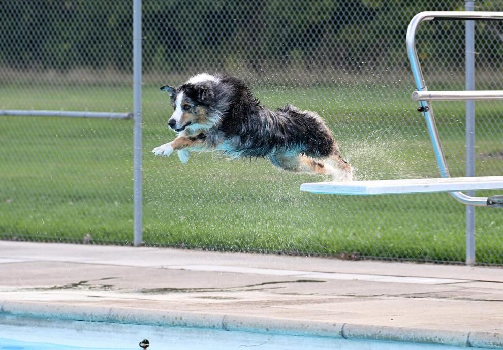 Grand opening of Welland’s Memorial Park Pool on Monday