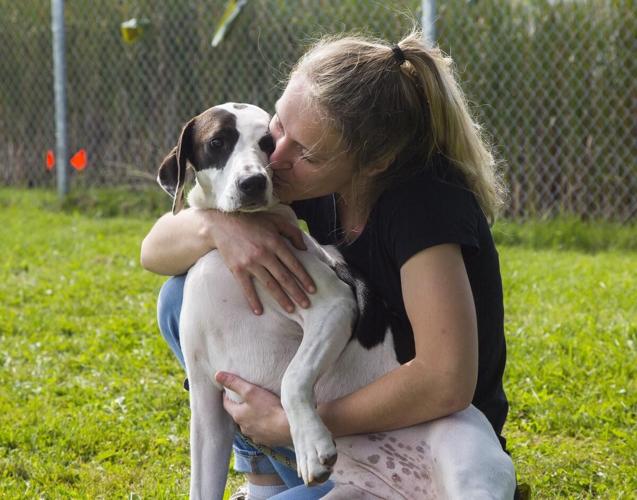 Dog fight: Rift grows between Niagara’s humane societies