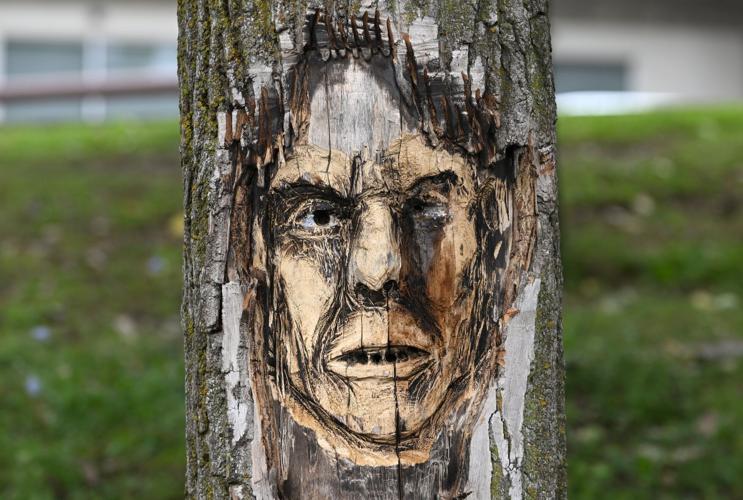 Faces carved into trees an act of vandalism: City of Welland