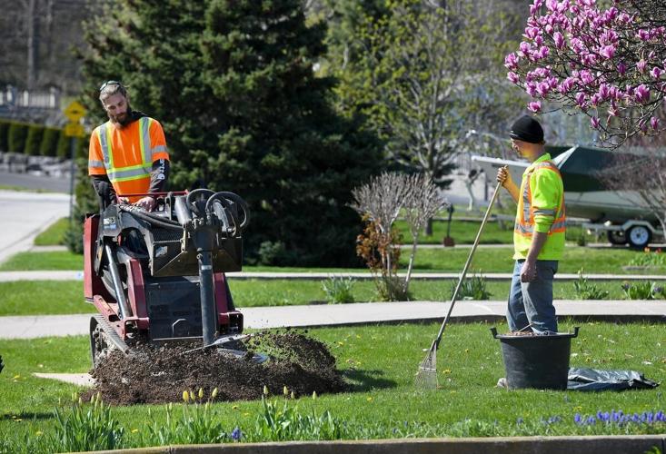 Hamilton will plant thousands more trees this year — if COVID allows