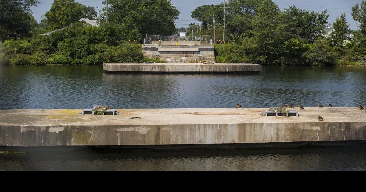 Rankin awarded contract to build new Dain City bridge