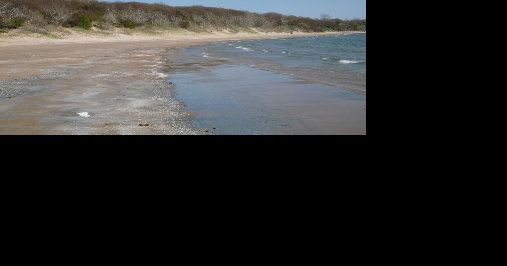 Report on Nickel Beach season at Port Colborne council Sept. 26