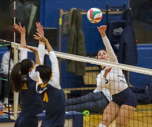 Niagara College’s basketball teams ranked provincially