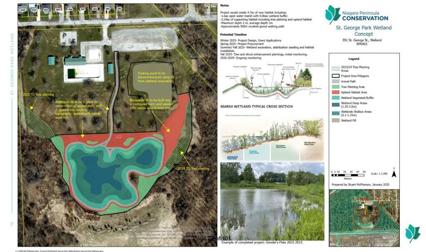 St. George Park to be transformed into wetland next year
