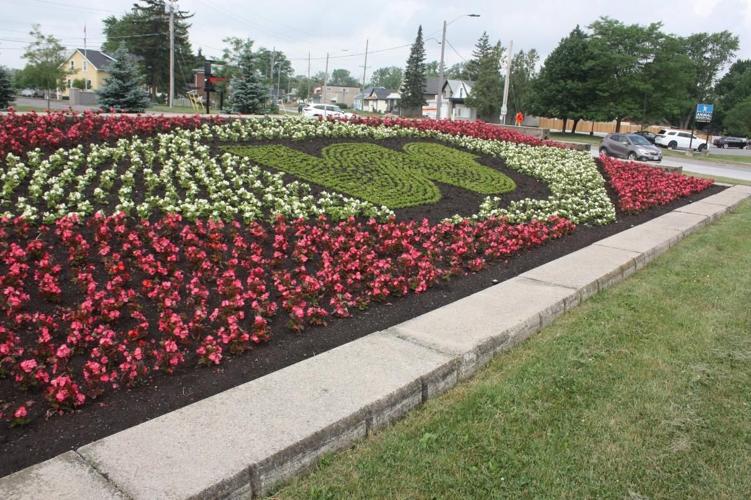 City’s flower bed tradition ‘extremely important to Welland’s identity’