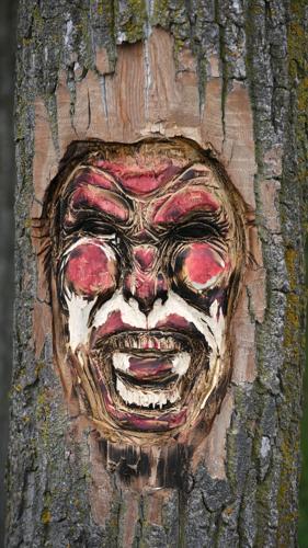 Faces carved into trees an act of vandalism: City of Welland