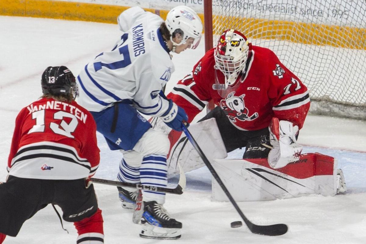 Niagara IceDogs News | The Tribune