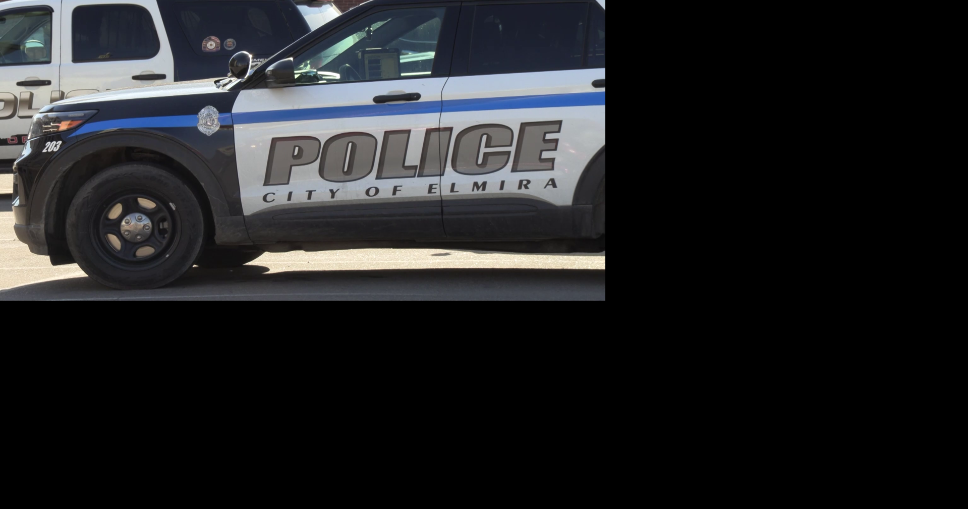 Gun fired at aggressive dog in Elmira, police say | Local | weny.com