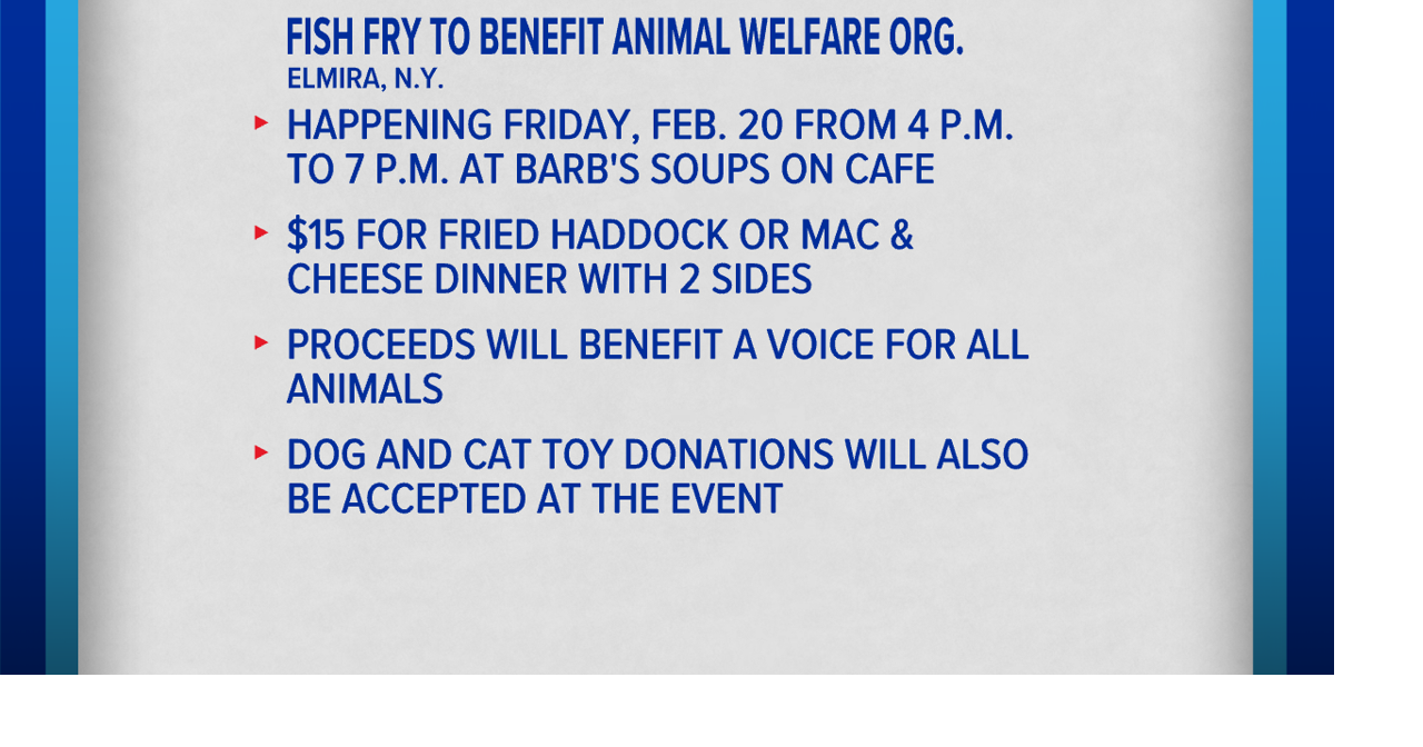 Friday fish fry to benefit Chemung Co. animal welfare organization ...