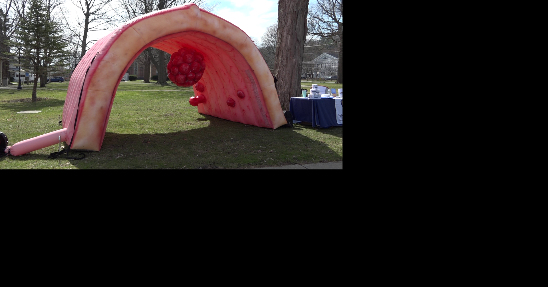 Giant Inflatable Colon Comes to Lafayette Park in Watkins Glen | Local ...
