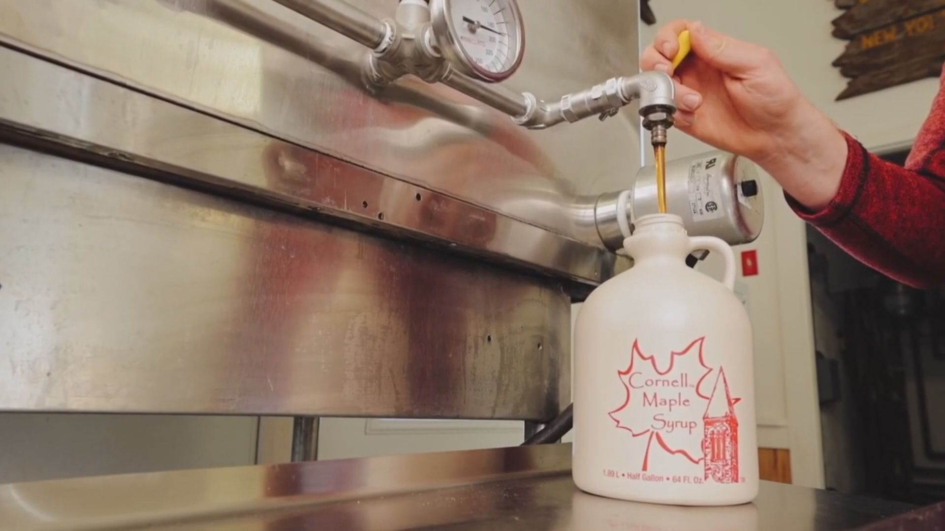 Cornell researcher talks DIY sap chillers for maple syrup production ...