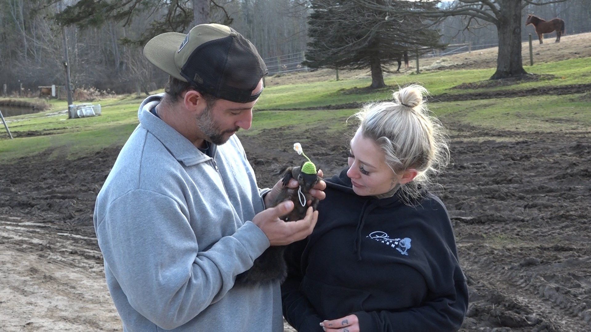 P'Nuts Freedom Farm Animal Sanctuary is a safe haven for over 200 ...