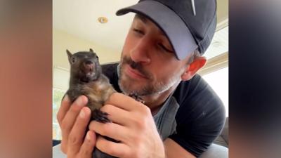 'Peanut the Squirrel' owners file a Notice of Claims saying officials ...