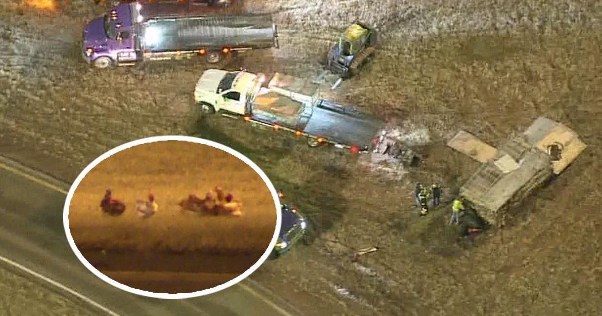 Troopers shoot chickens that got loose after crash in Oklahoma City ...