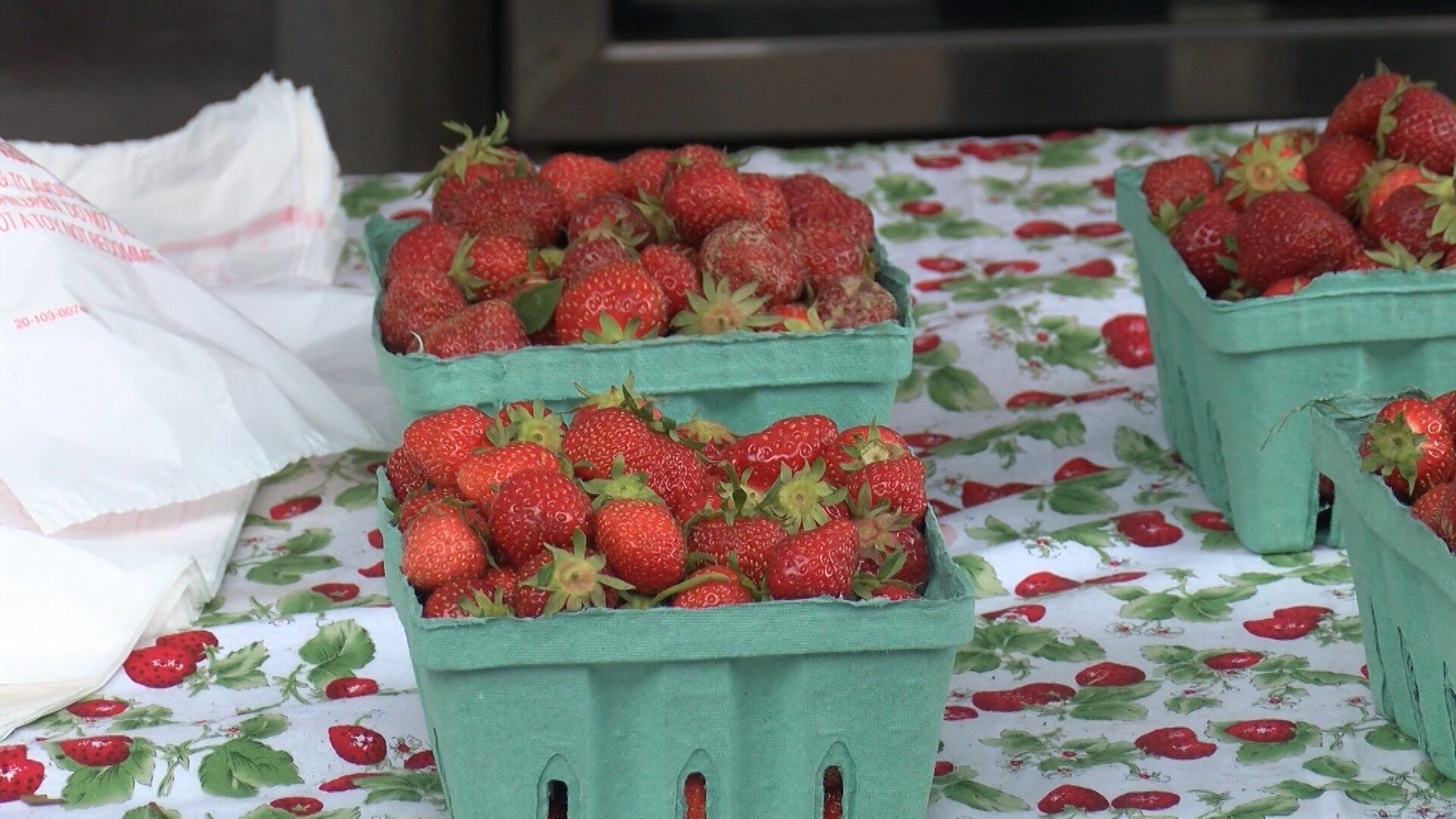 Owego Strawberry Festival Ribbon Cutting | | weny.com