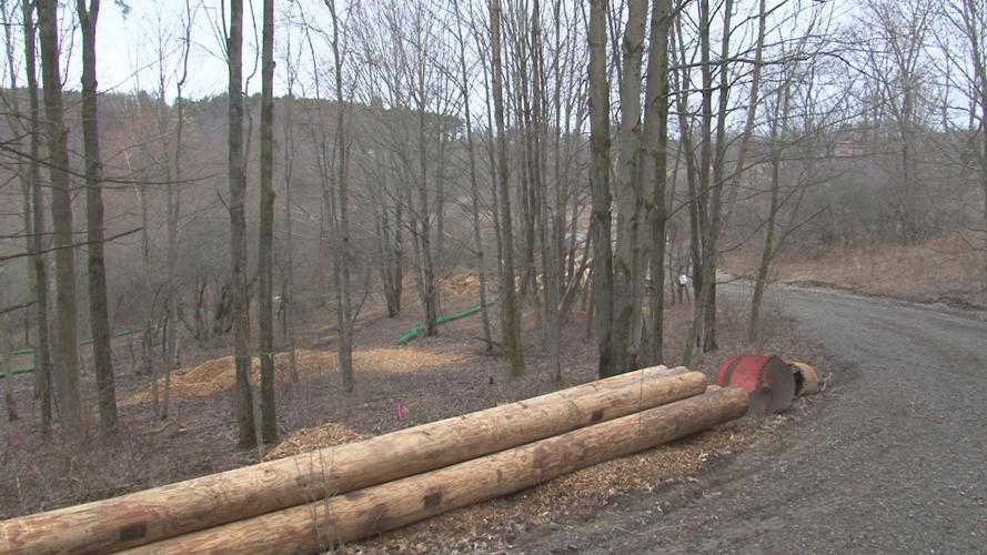 Tanglewood Treetop Walkway project construction begins | Local | weny.com