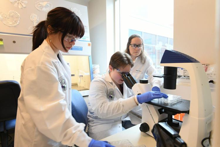 ‘Accidental’ breakthrough helps develop new ways to prevent flu ...