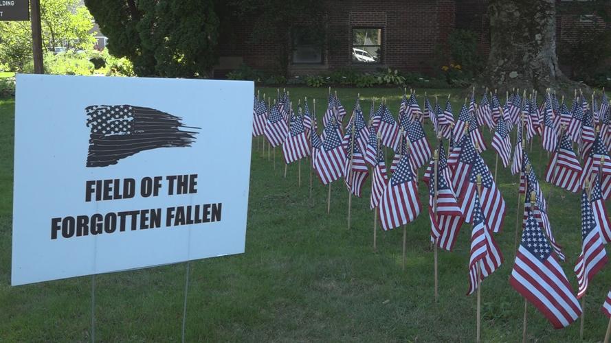 Field of the Forgotten Fallen on display in Owego | News | weny.com