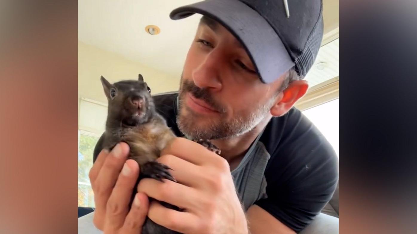 pet squirrel euthanized