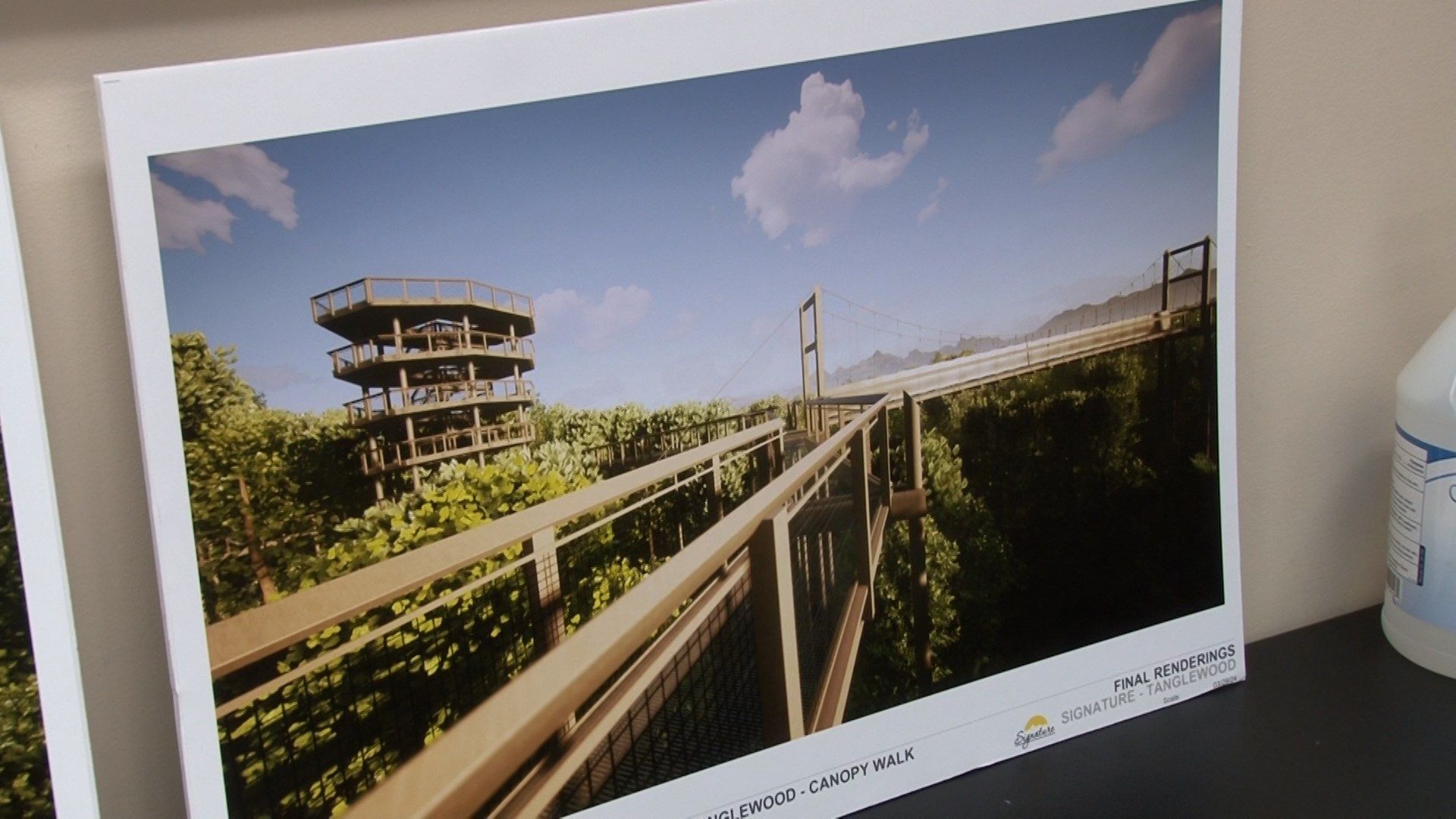 World famous ecologist and Elmira-native highlights canopy walkway ...