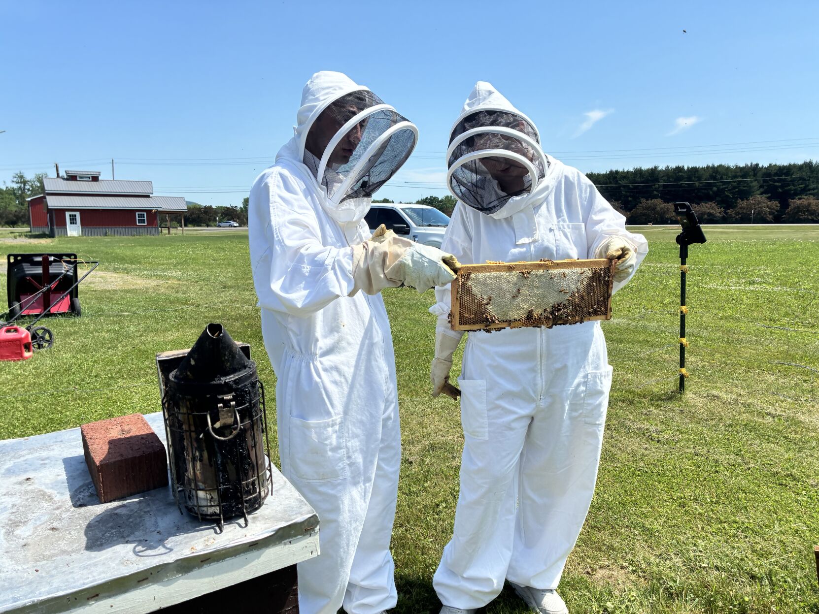 Local Beekeepers Offer Look at Life Inside the Hive | News | weny.com