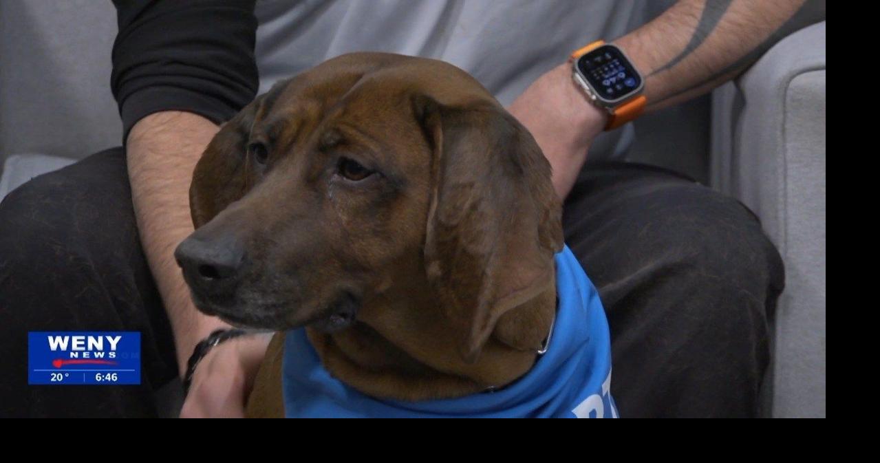 Meet Roscoe, WENY's Pet of the Week! | Do-not-import | weny.com