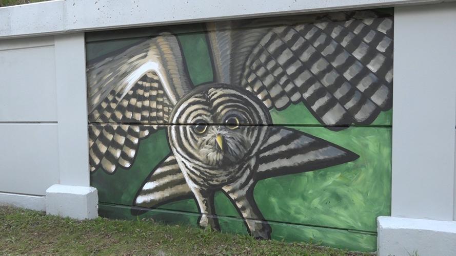 Bradford Co. native gives back to the Towanda community through art ...