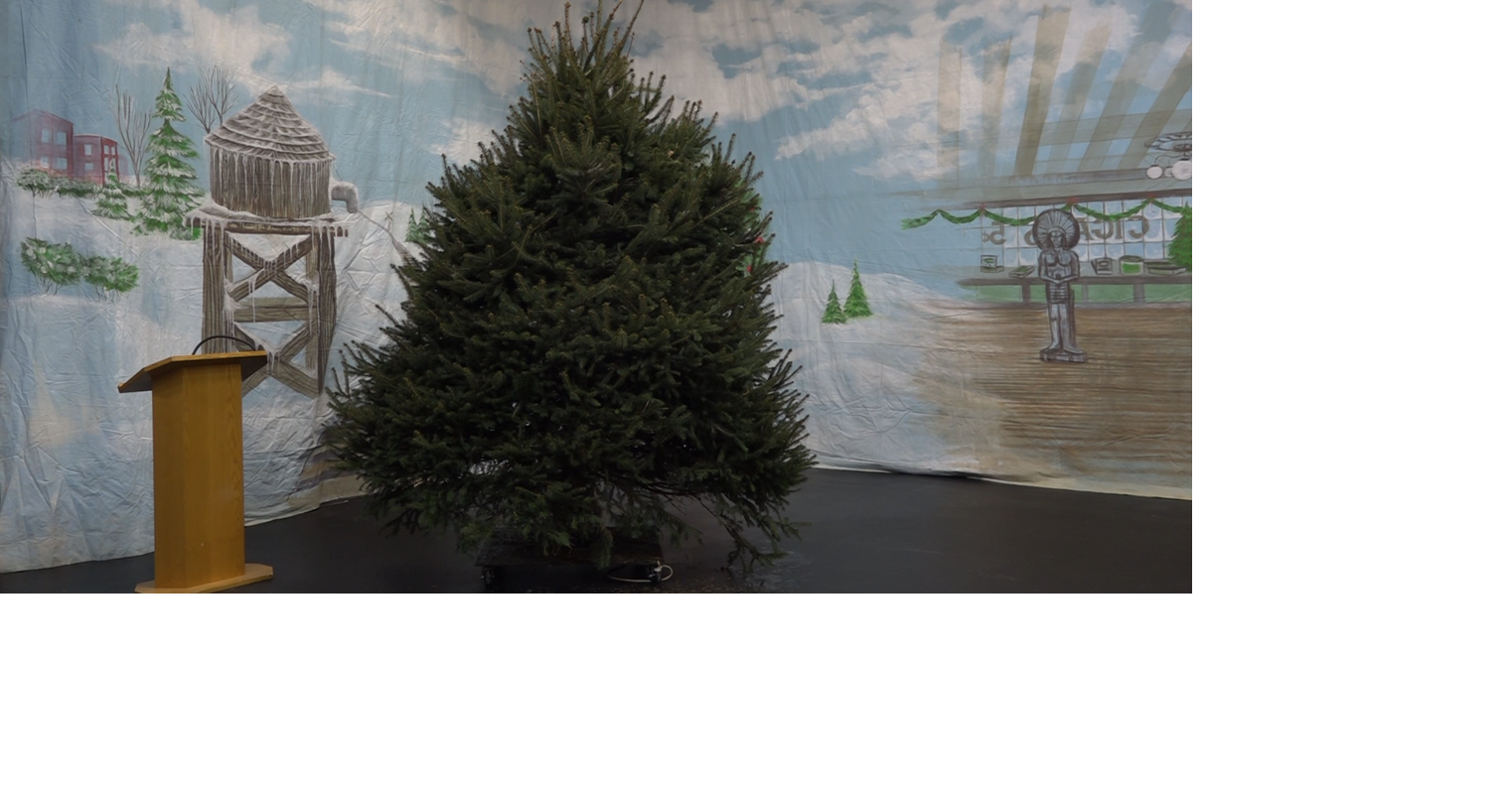 Elmira Tree Lands Arctic League Christmas Broadcast Spotlight | Local ...