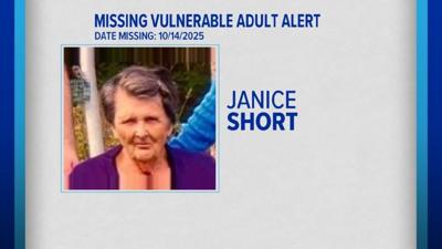 Statewide Alert Issued for Missing 86-Year-Old Woman from Vestal ...