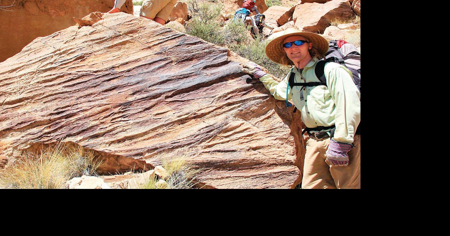 An evolutionary explosion captured in rocks | Archives ...