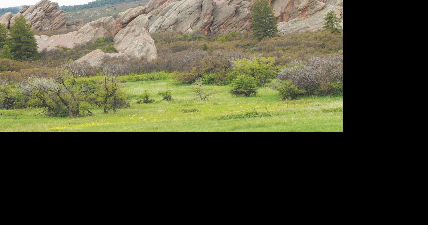 Roxborough guest is kind of a big deal | Archives | westminsterwindow.com