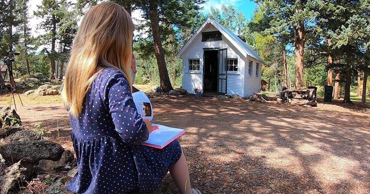 A little library in the forest connects neighbors during COVID-19 ...