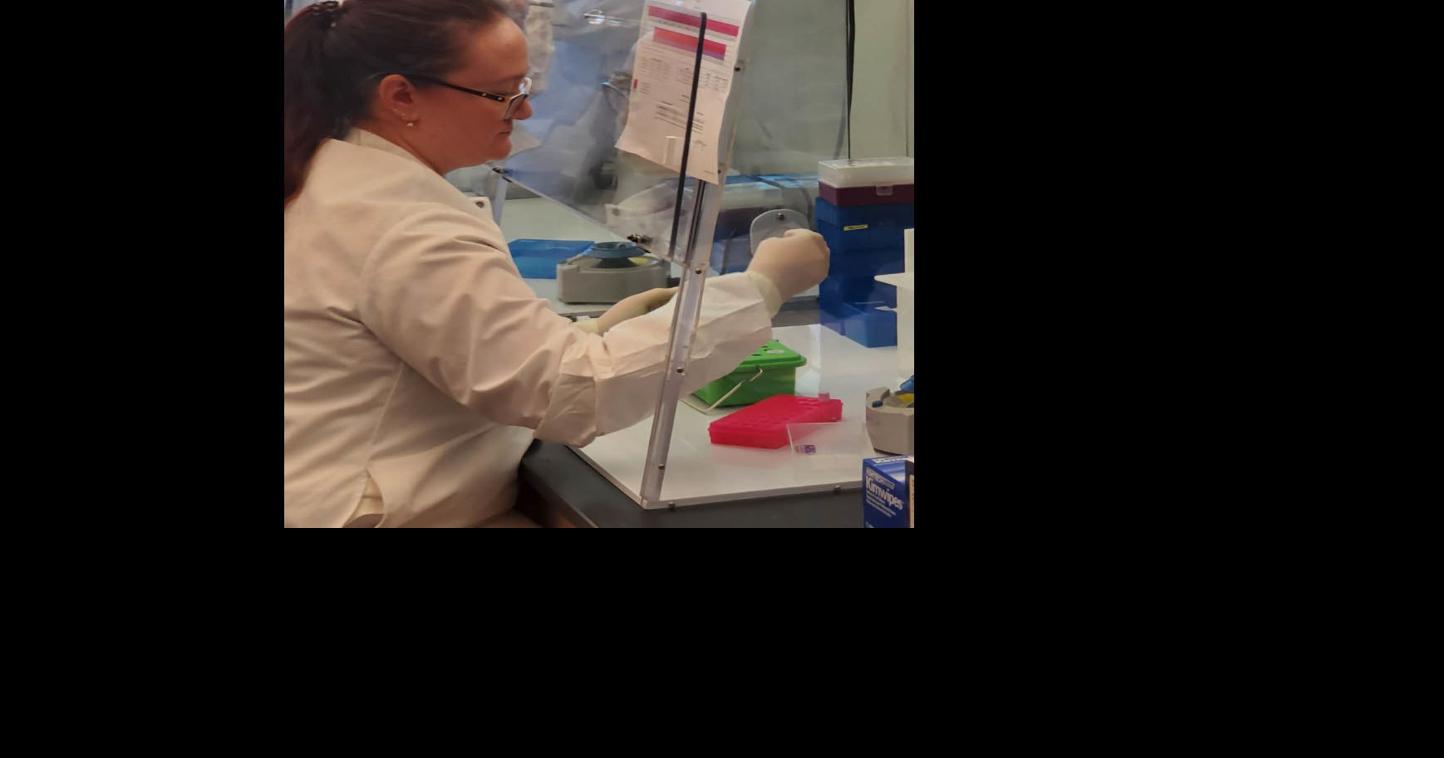 Virus test ‘blitz’ begins, limits remain | News | westvalleyview.com