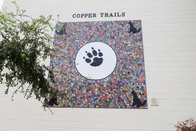 Student-painted tiles comprise new Copper Trails School mosaic | News ...