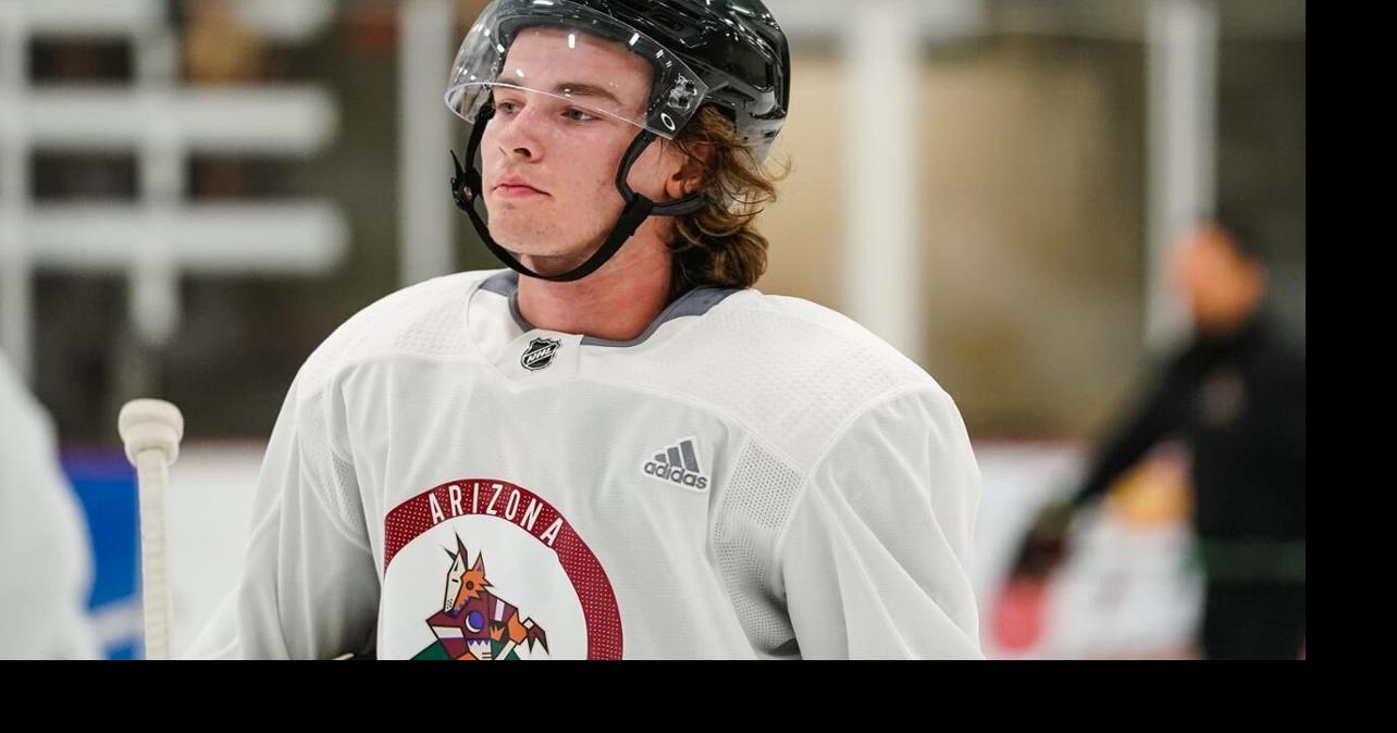 Arizona Coyotes enter rebuild mode with 3 first-round picks | Sports ...