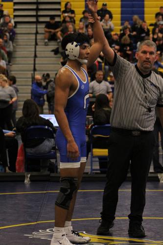 Canyon View wrestling dominates state playoffs | Sports ...