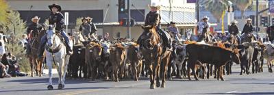 Main Street Coalition readies Buckeye Days | News | westvalleyview.com