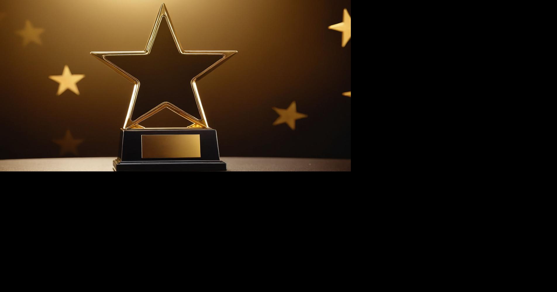 WV based nonprofit earns Anthem Gold Award | News | westvalleyview.com