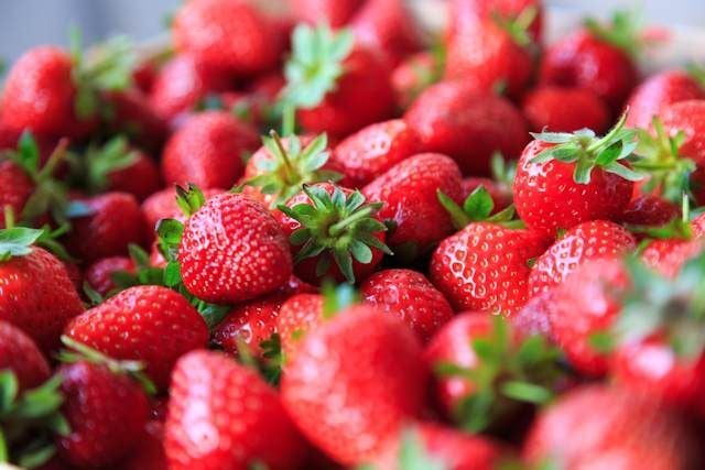 Strawberry picking returns to White House Fruit Farms | Canfield News ...