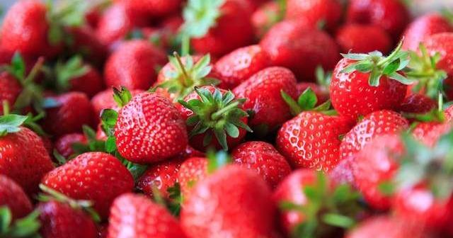 Strawberry picking returns to White House Fruit Farms | Canfield News ...