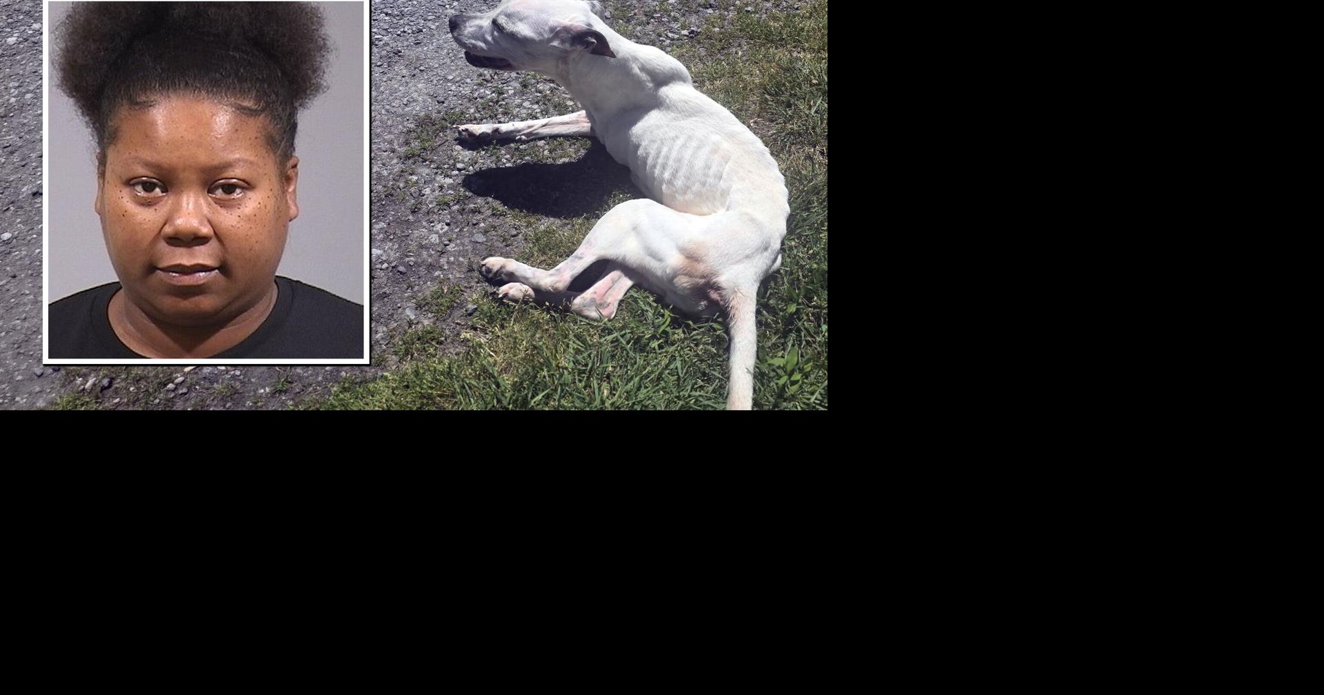 Warren woman charged with animal cruelty free on bond | Warren News ...