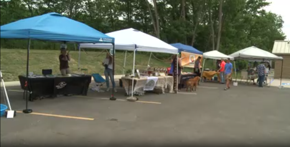 Lowellville hosts 15th-annual Riverfest | News | wfmj.com