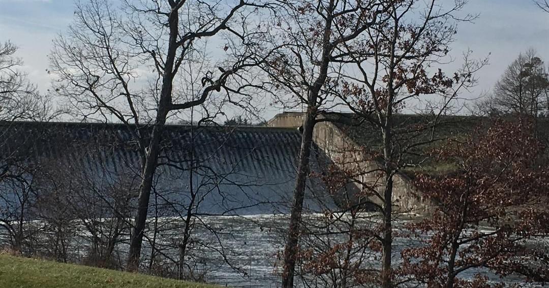Thousands of trees to be cut down along Meander Reservoir, experts ...