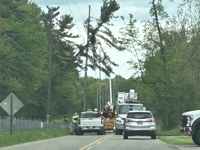 Power completely restored after tree falls in Austintown | Austintown ...