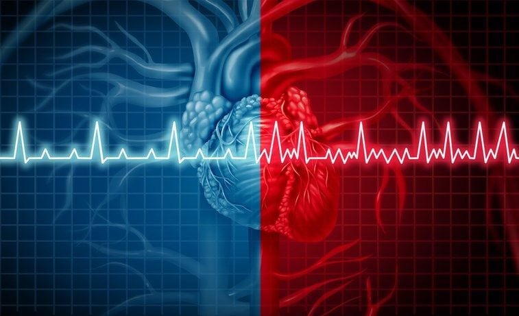 February is American Heart Month | Archives | wfmj.com