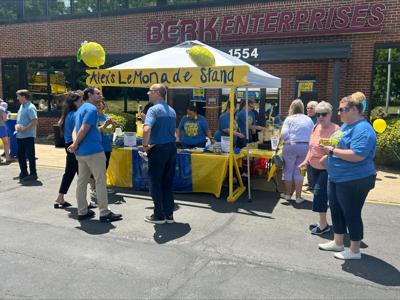 Berk Enterprises hosts lemonade stand event to fight childhood cancer ...