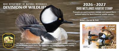 ODNR wetlands stamp contest offers winners $4k contract | Archives ...