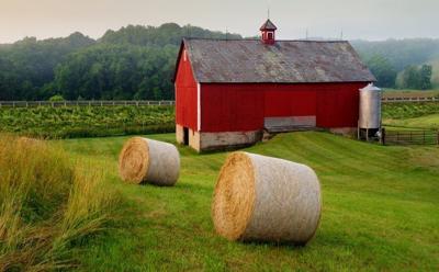 Rebel Rescue Ranch hosting garage, barn sale Sunday | Local News | wfmj.com
