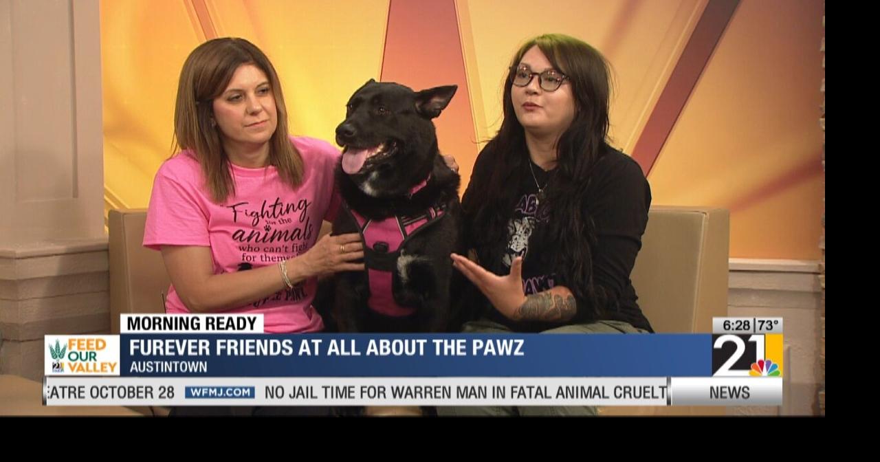 Adopt from All About the Pawz and support their upcoming fundraiser ...