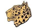 Liberty’s Jacobs steps as coach of girls basketball program | Local ...